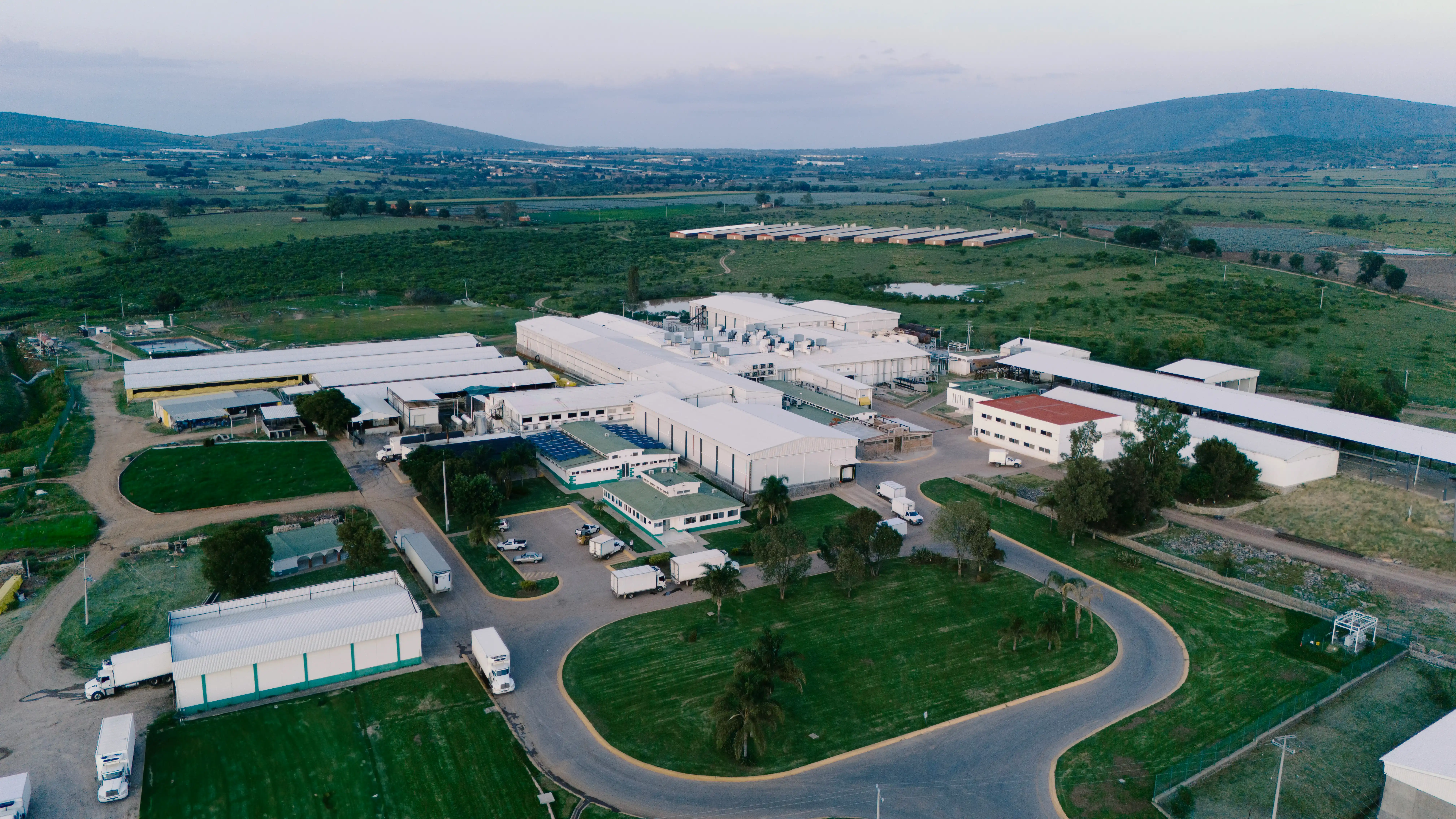 Plantas procesadoras